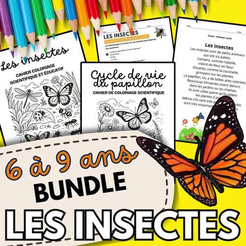 Insectes et Papillon – Lecture, Compréhension, Coloriage Bundle | French