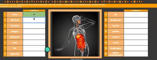 Digestive System Medical Terminology Combining Forms and Print Activity