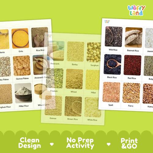Grains Flashcards | Montessori Inspired Food Vocabulary Cards by Wuffyland