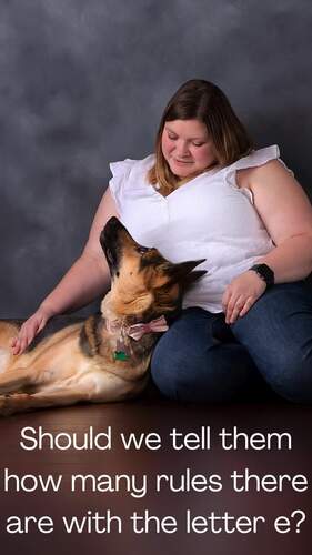 VCe Silent E Syllables Activities | Long Vowel Sorts, Rules, Games ...