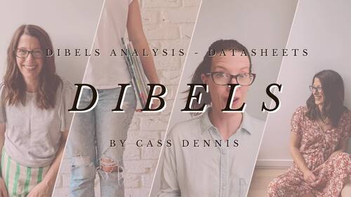 Data Tracking Spreadsheet for DIBELS 8th | Year Two | Google Sheets ...