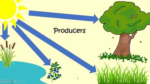 Interdependence (Food Chains/Food Webs) ANIMATED PowerPoint with Guided ...