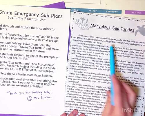5th Grade Sea Turtle Unit Emergency Sub Plans Summer Science Research ...