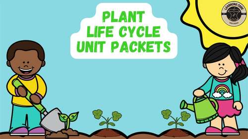 Plant Life Cycle Science Worksheets PreK, Kindergarten, First, TK, UTK