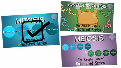 Amoeba Sisters Unlectured Series- MITOSIS by Amoeba Sisters LLC | TPT