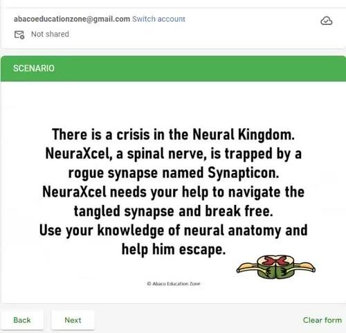 Spinal Cord and Spinal Nerves Escape Room-Nervous System Activity