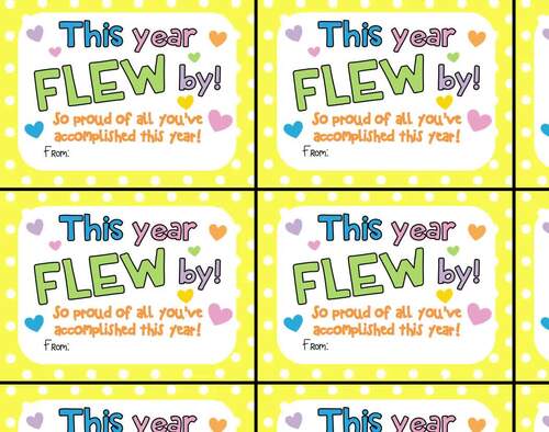 Frisbee (Flying Disc/Toy) End of Year Gift Tag- This year FLEW by! So ...