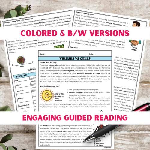 Viruses vs Cells Reading Comprehension Passage and Questions Worksheet