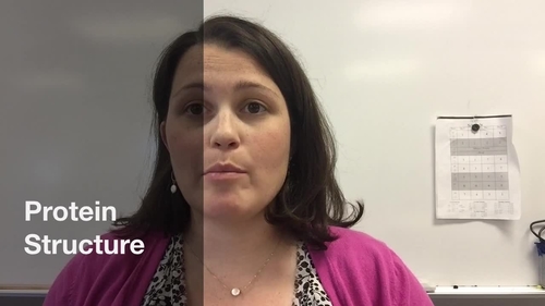 Pipe Cleaner Protein Lesson by Woerner's Science Corner | TPT