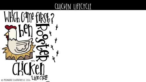 Chicken life cycle clip art, egg, sequence COMBO PACK by Melonheadz Clipart