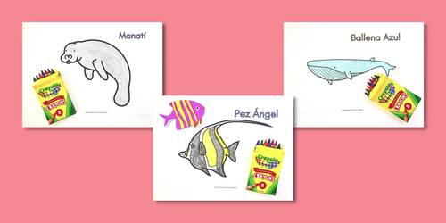 El Oceano Spanish Ocean Coloring Pages with Basic Spanish Vocabulary