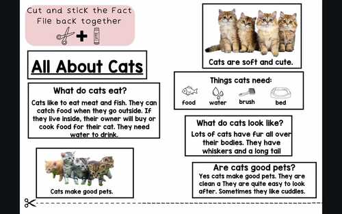 All About Cats Non Chronological Report Fact File Printable Activity
