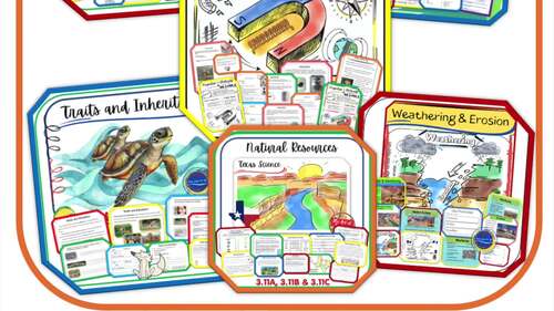 3rd Grade Texas Science NGSS TEKS Year Long Bundle by Mrs Lena | TPT