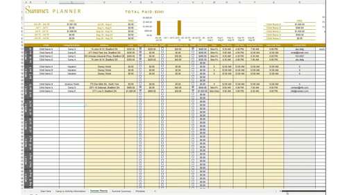 Summer Camp Planner Excel Spreadsheet by Mom Money Map | TPT