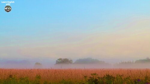 Land Acknowledgement - Indigenous Peoples of Canada - Lesson & Activities