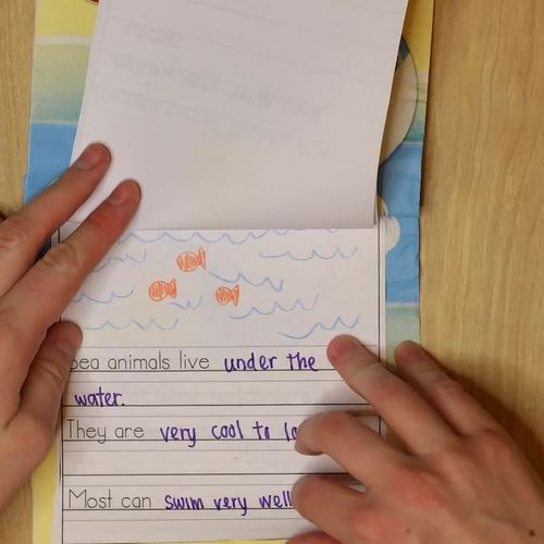 Ocean And Beach Writing Prompts By Ks Classroom Kreations Tpt 