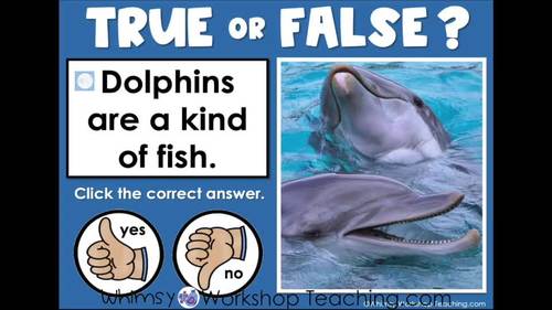 Boom Cards True False Nonfiction Animal Facts Dolphins Science | TPT