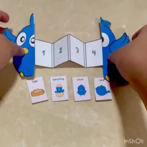 Life Cycle of a Bird Rabbit Duck Craft Activity Science cut and paste