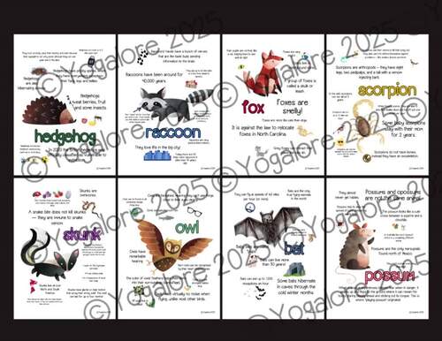 Animals That Come Out at Night – Nocturnal Animal Fact Posters & Cards ...