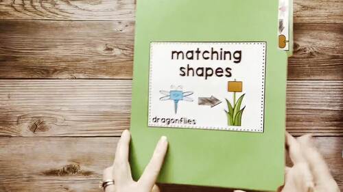 Shape File Folders (Insects) for Preschool, Kindergarten & Special ...