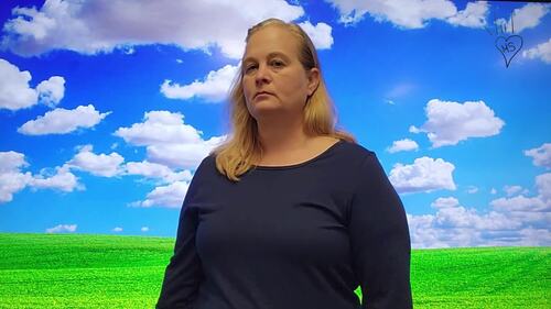 ASL Unit 1 Video 21 by Melissa Sexton | TPT