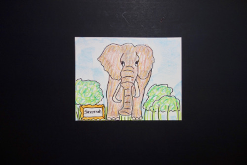 Let's Draw an Elephant in the Savannah Biome! by Patty Fernandez Artist