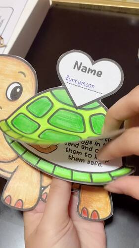 Life Cycle of a Sea Turtle | Sea Turtle Life Cycle craft by Bunnymoon