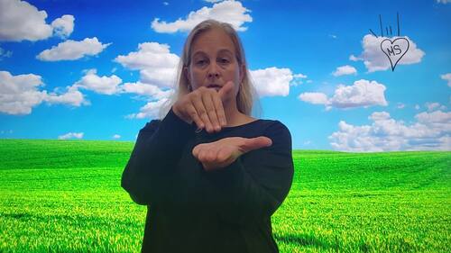 ASL Unit 8 Video 2 by Melissa Sexton | TPT