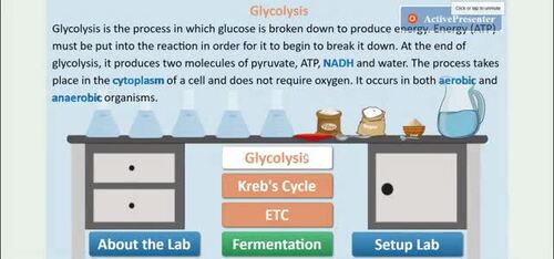 Cellular Respiration / Fermentation - Yeast Virtual Lab by Cook Science