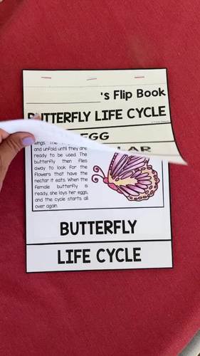 Butterfly Life Cycle Animal Science and Literacy FLIP Book | TpT