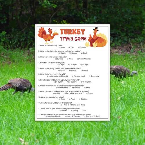 Turkey Trivia, Thanksgiving Game, Fun Fall Trivia Quiz for Kids, teens ...
