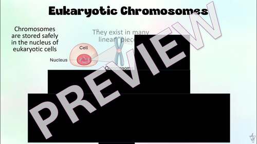 Chromosomes Interactive PowerPoint Slideshow + FREE Guided Notes