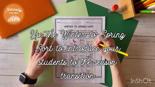 Winter to Spring Sort Worksheet by Naturally Teaching | TPT