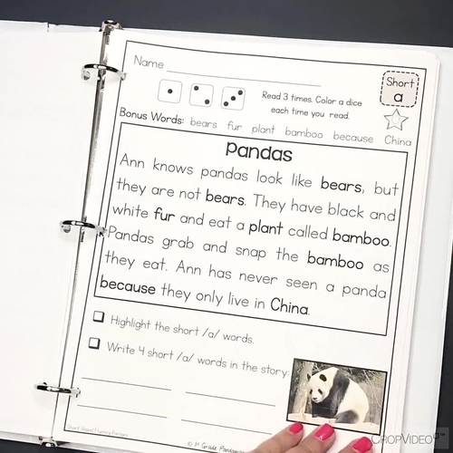 Fluency and Comprehension Passages with Long and Short Vowels BUNDLE