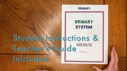 Urinary System Activity - Human Body Files for Anatomy and Physiology