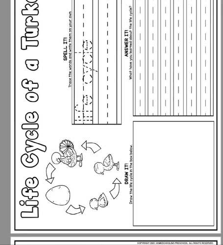 Turkey Life Cycle Activity Sheets by HomeschoolingPreschool | TPT