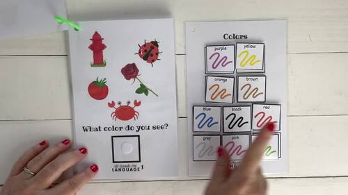 Colors Around Us Interactive Mini Book with Choice Board and 10 Colors ...