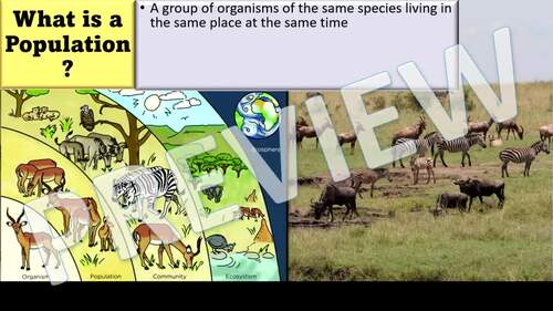 Population Ecology Lesson Resource BUNDLE (PPT, Guided Notes + FREE Lab)