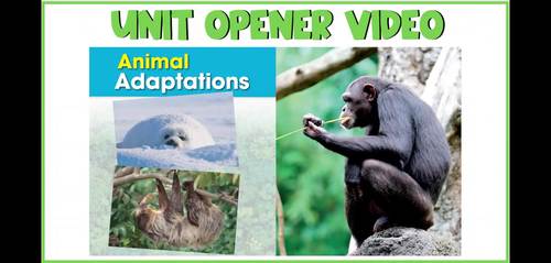 Benchmark Advance 3rd Grade Unit 1 Teaching Slides by Jennifer Custer