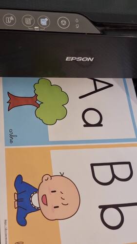 Alphabet Wall Frieze Illustrated in French by Dessine-moi une histoire