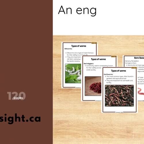Worms – Inquiry Unit Plans for Kindergarten Ontario Curriculum | TPT