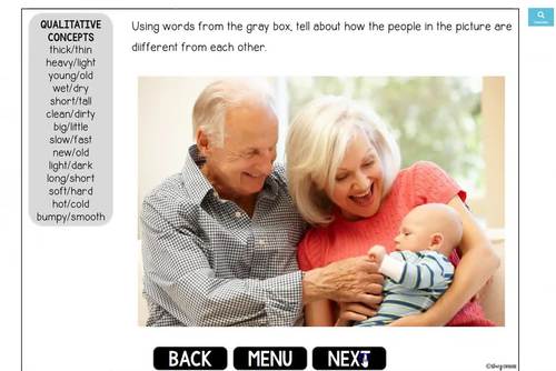 Expressive Basic Concepts BOOM CARDS™ for Speech Therapy and Teletherapy