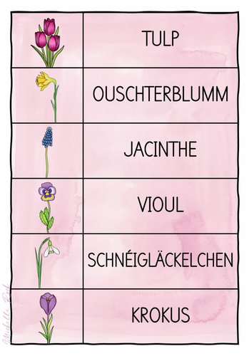 Frühblüher - Spiele und Aktivitäten by Joffer Michelle | TPT