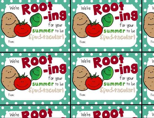 Veggie Straws (Chips) End of Year Gift Tag- We're rooting for your ...