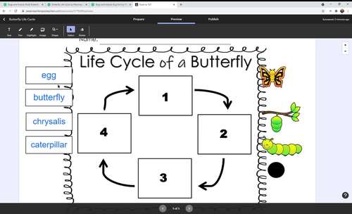 Butterfly Life Cycle Cut and Glue Activity {butterfly, bug, insects ...