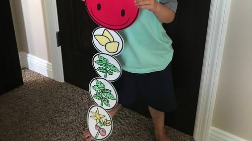 Tomato Life Cycle Activity, Craft for Science Lesson or Center | TpT