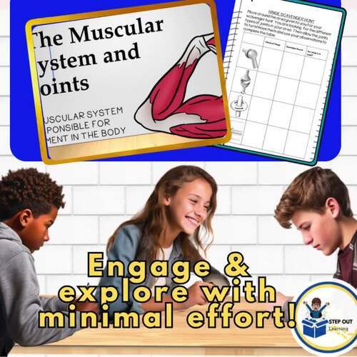 Muscular system + movement - slides, worksheets, activities, lab work ...