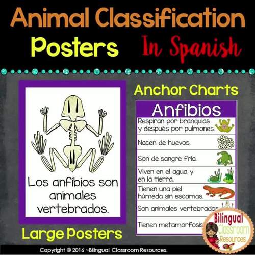 Animal Classification in Spanish | Clasificación de animales | BUNDLE