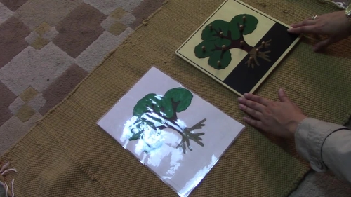 montessori-parts-of-a-plant-puzzle-by-montessori-tube-tpt