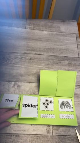 The Life Cycle of Insects by Kindergarten and Clips | TPT